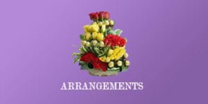 Online Flower Delivery in Goa | Send Flowers From Best Florist In Goa
